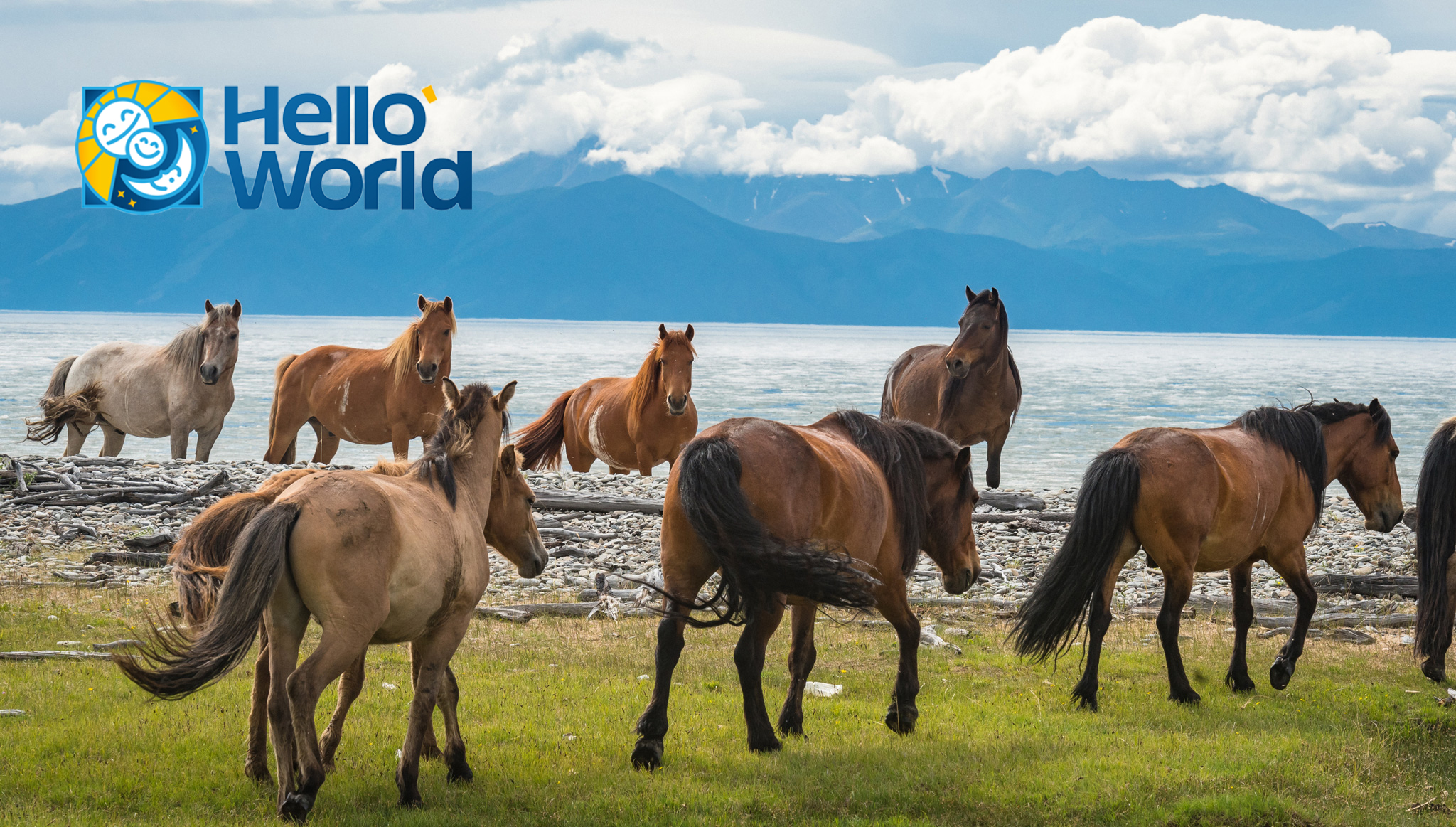 Helloworld Travel